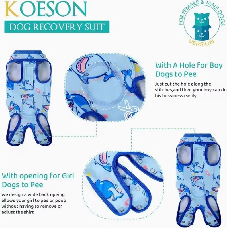 Wholesale Soft Dog Recovery Suits for Post-Surgery Comfort | SunPetJoy ...